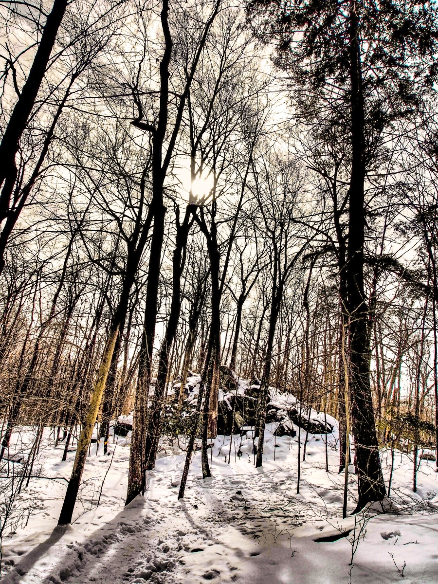 CT: Fairfield County-Greenwich- Mianus River Park (Winter Hike) – Pivot ...