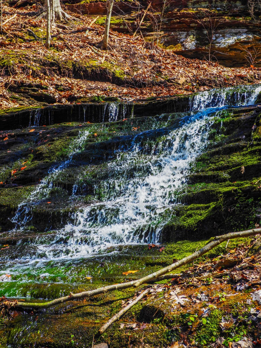 CT: Middletown: Wadsworth State Park- Little Falls (Spring) – Pivot and ...
